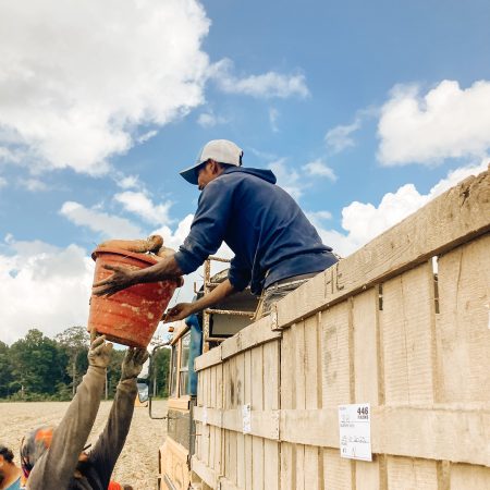 Operations | Southern Leaf